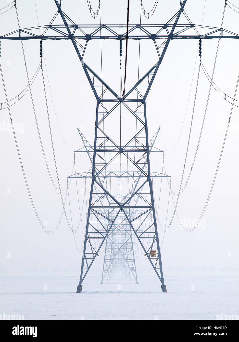 Powerline in winter, Flevoland, Netherlands Stock Photo - Alamy