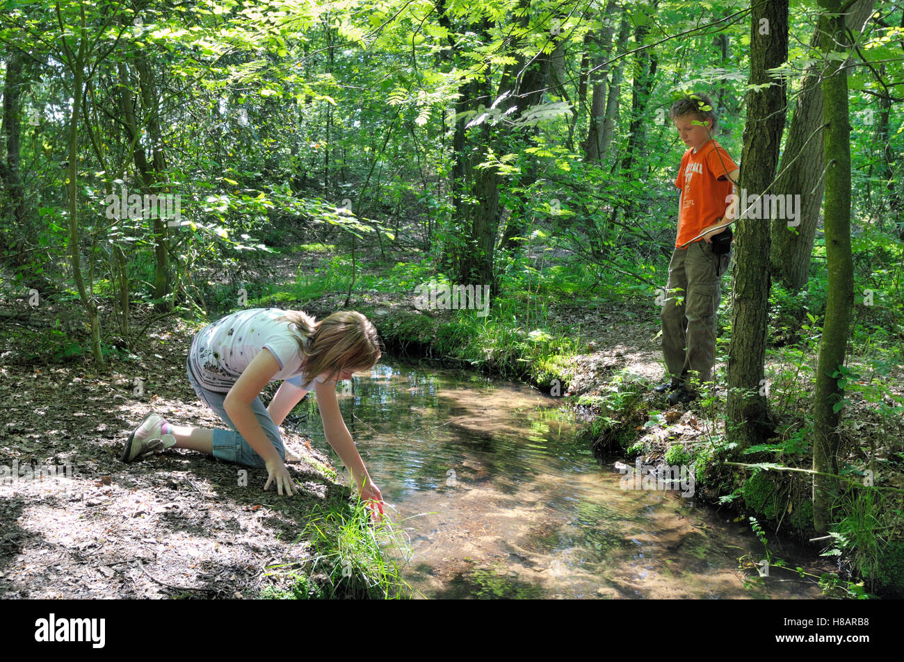 Children playing in stream, Springendal, Twente, Netherlands Stock ...