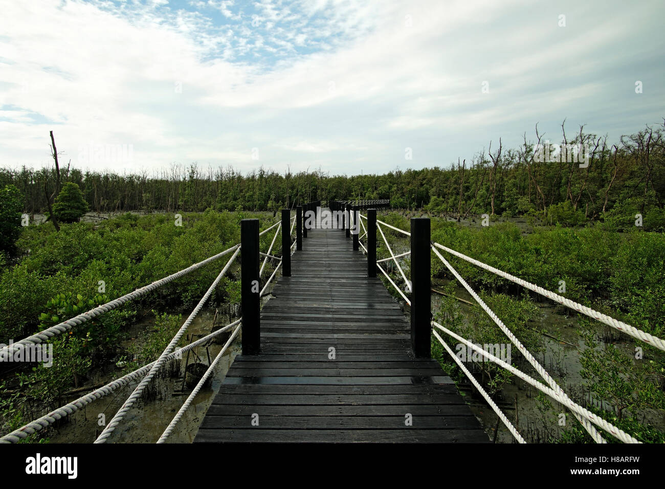 Long wooden bridge hi-res stock photography and images - Alamy