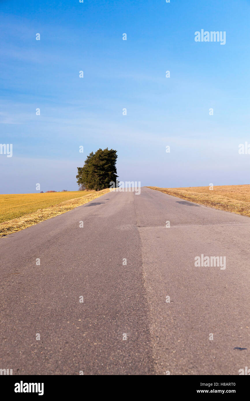 rural road, tree Stock Photo - Alamy