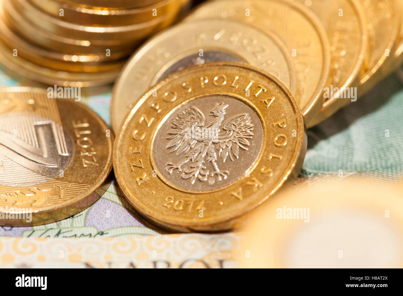 Polish Zloty, close-up Stock Photo - Alamy