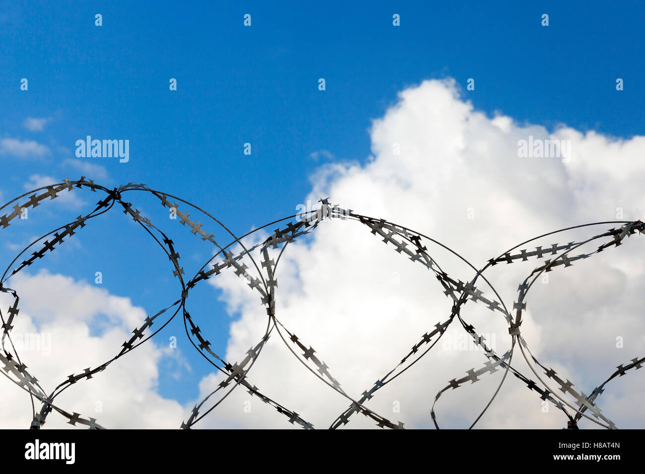 old barbed wire Stock Photo - Alamy