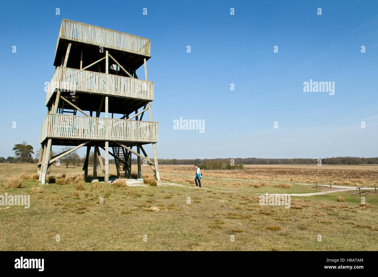 Man walking towards watch tower, Appelscha, Friesland, Netherlands ...