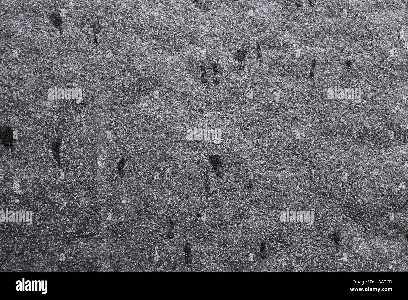 Macro shot of an architectural concrete texture Stock Photo - Alamy