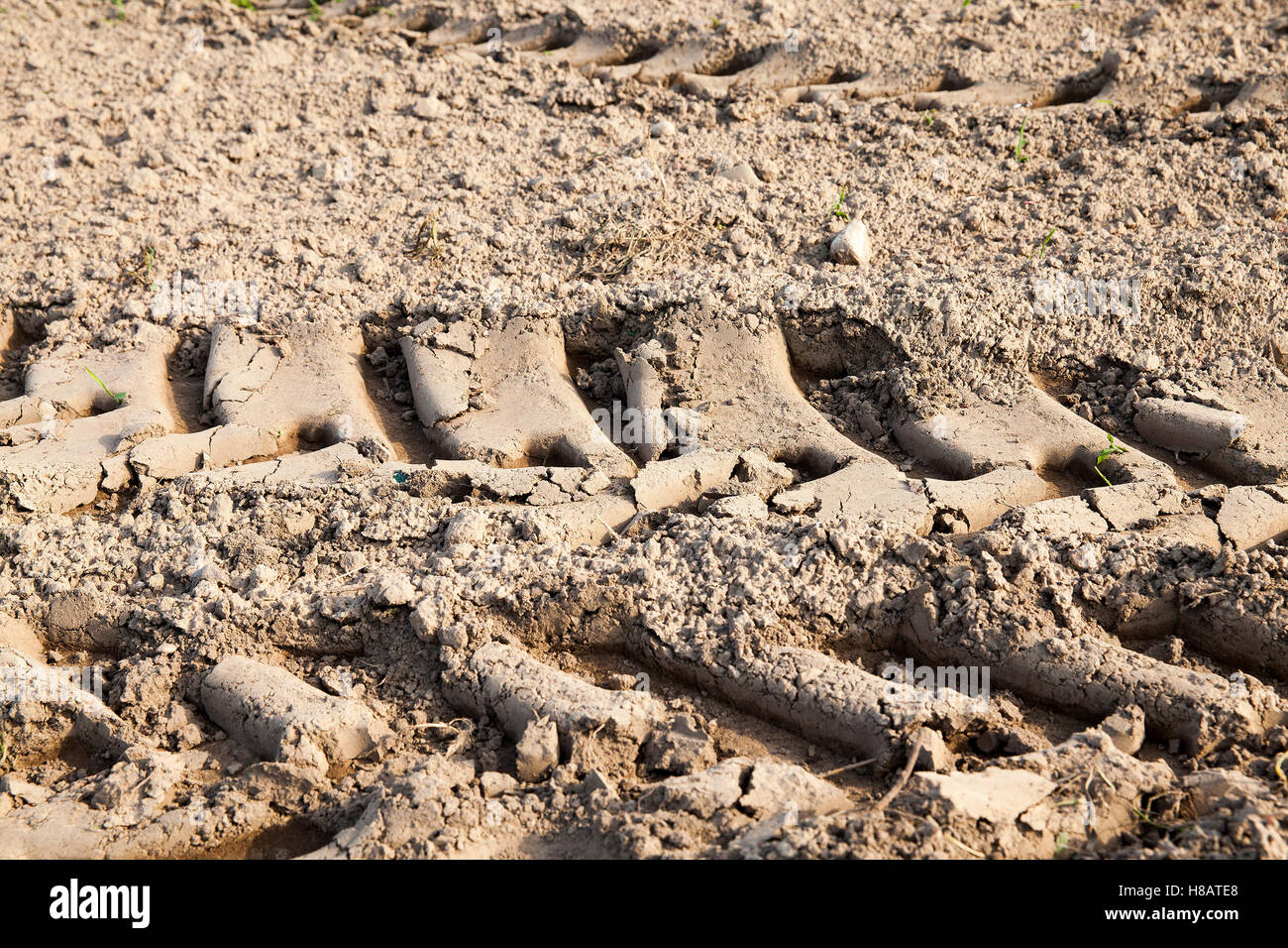 Wheel tracks on the field Stock Photo - Alamy