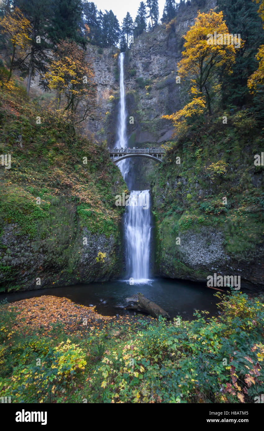 Multnomah falls near Portland Oregon in the Autumn Stock Photo - Alamy