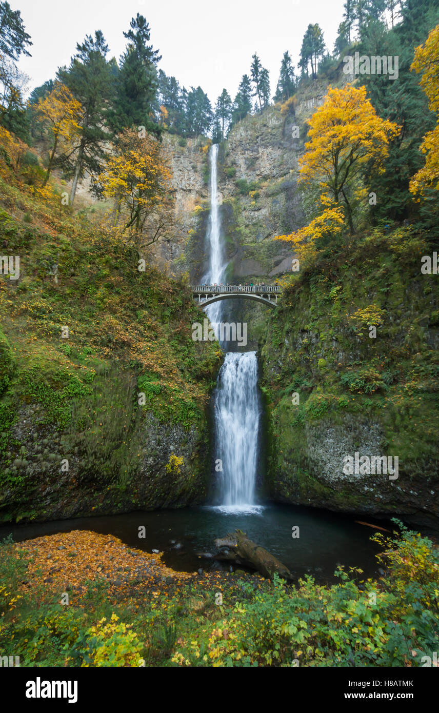 Multnomah falls near Portland Oregon in the Autumn Stock Photo - Alamy