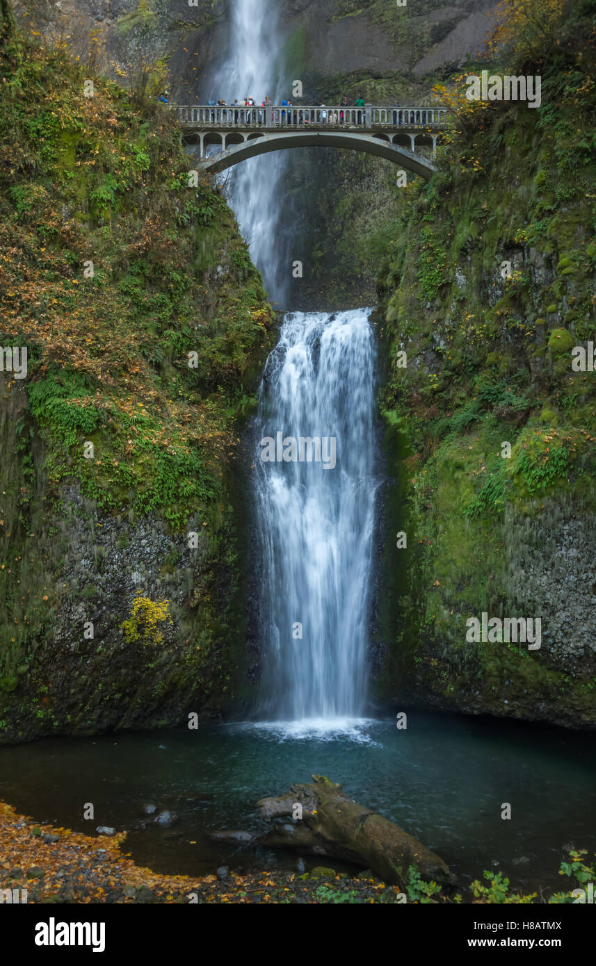 Portland fall hi-res stock photography and images - Alamy