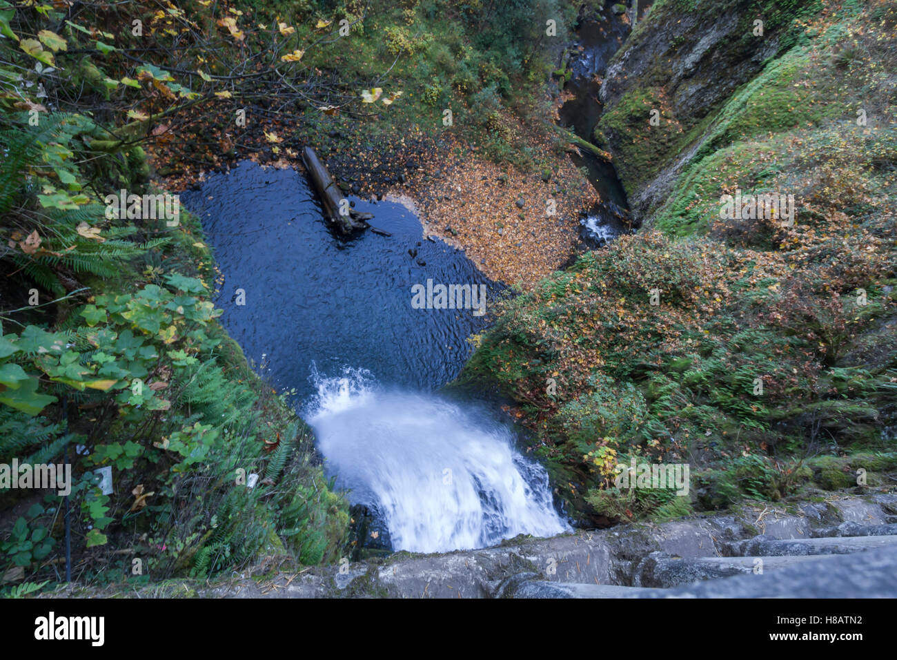 Multnomah falls near Portland Oregon in the Autumn Stock Photo - Alamy