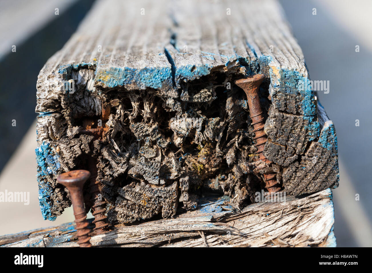 old rusty screw Stock Photo - Alamy