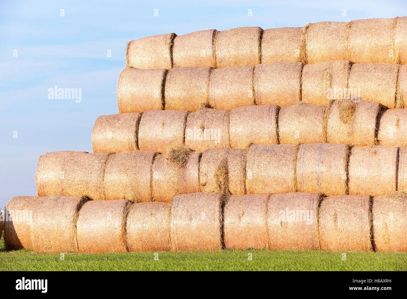 stack of straw in the field Stock Photo - Alamy