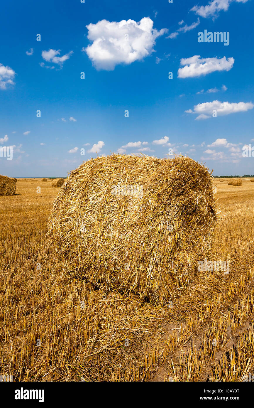 Stack of straw Stock Photo - Alamy