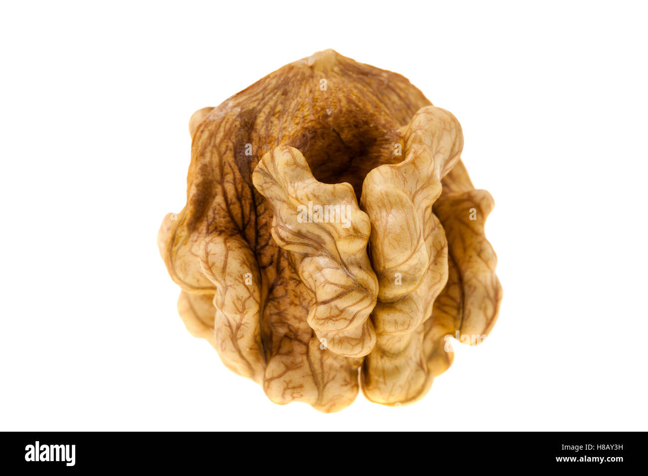 walnut isolated on white Stock Photo - Alamy