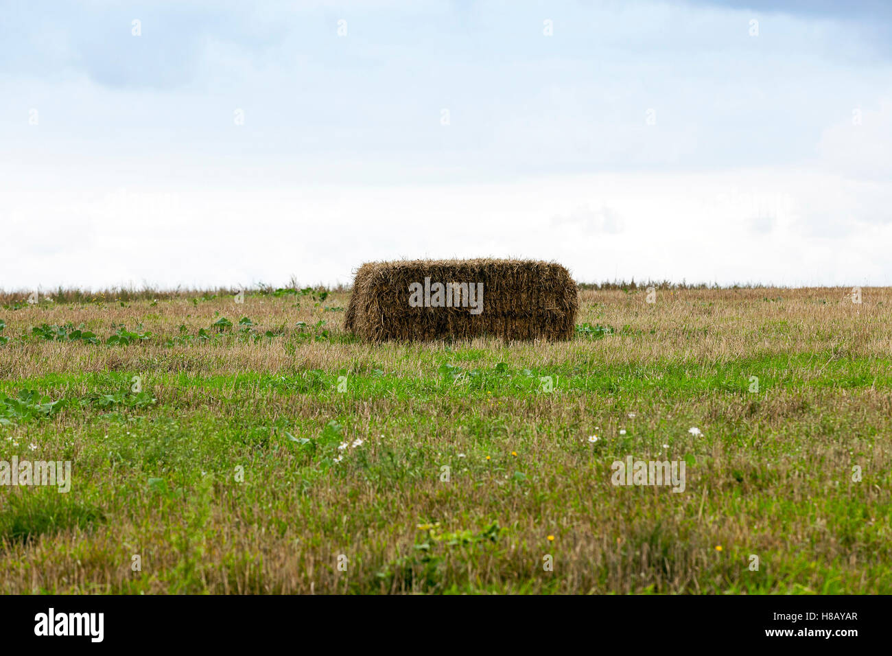 Square haystack hi-res stock photography and images - Alamy