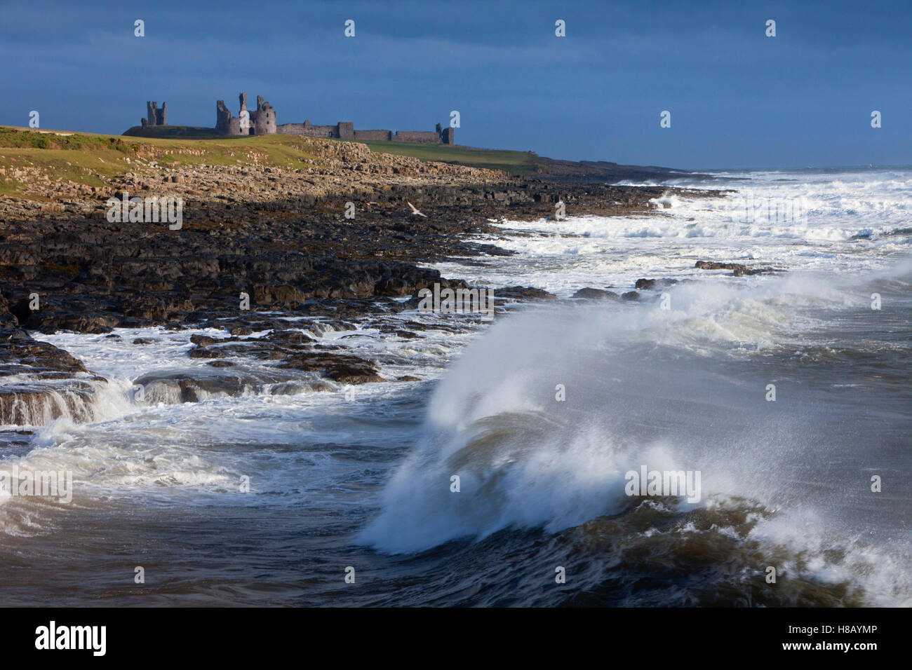 Dunstanburgh Castle ruins, Northumberland, England Stock Photo - Alamy