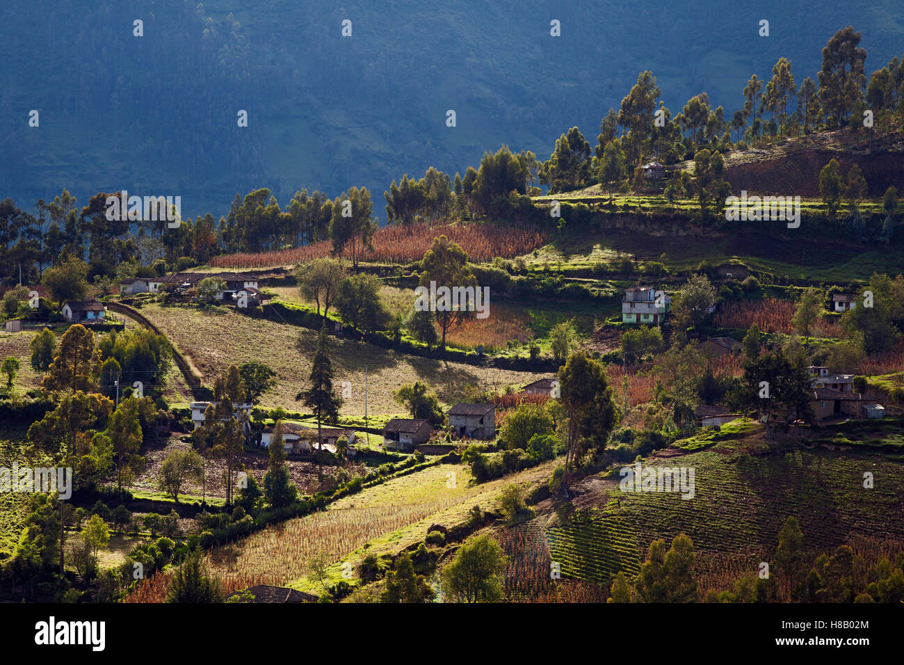 Agricultural fields, Andes, Ecuador Stock Photo - Alamy