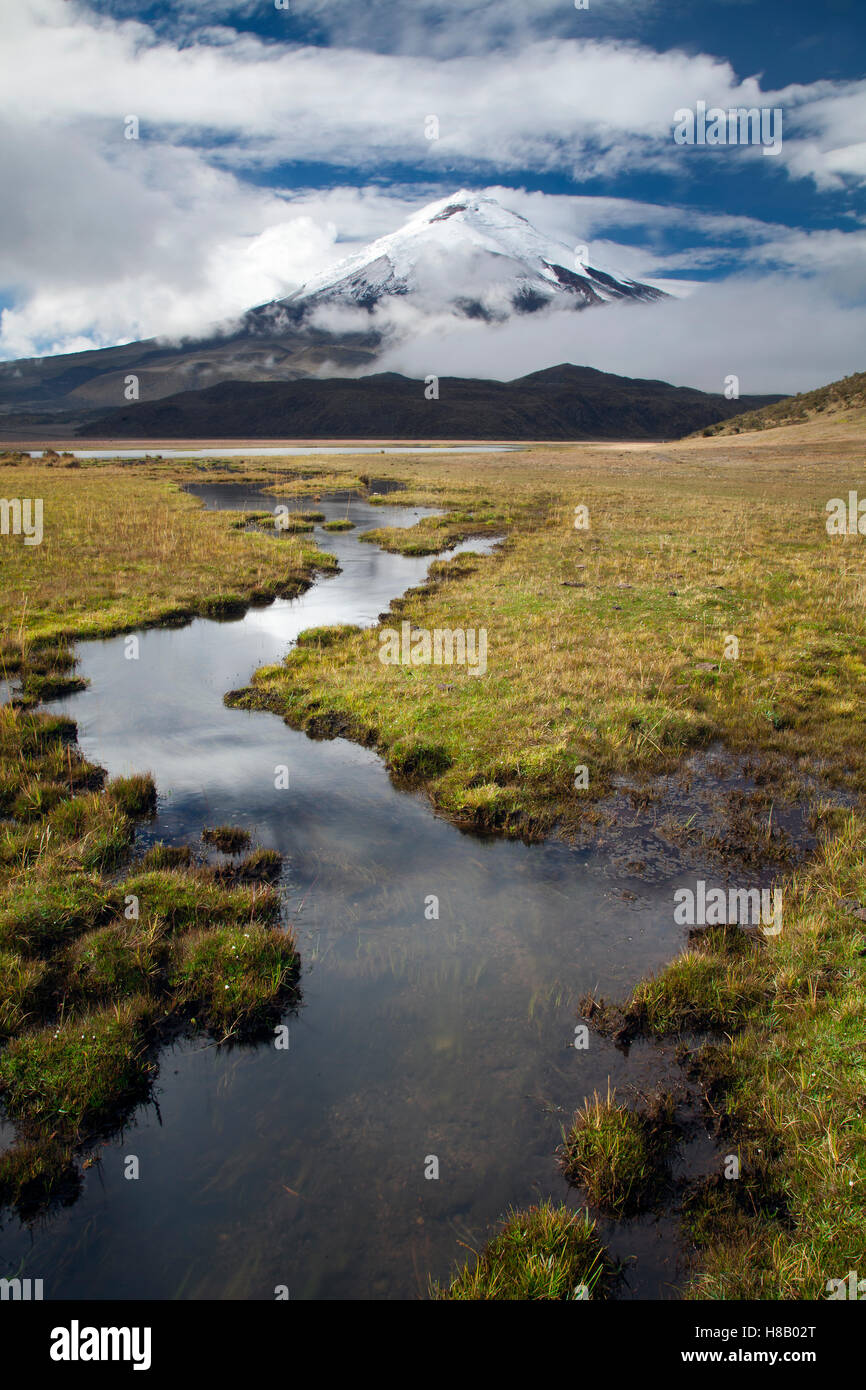 Cotopaxi Volcano seen wetland around Lake Limpiopungo. Cotopaxi ...