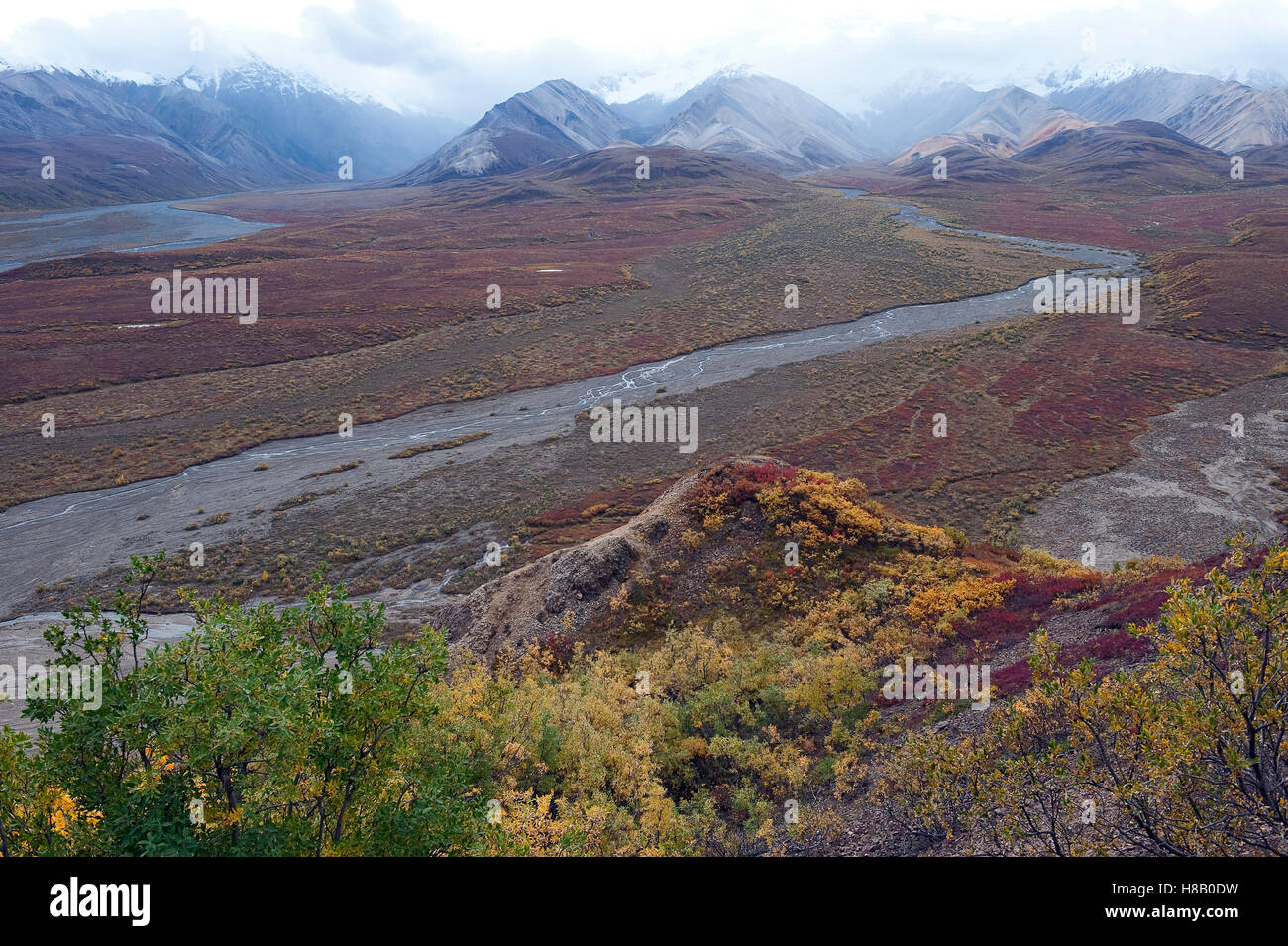 River through valley of Polychrome Pass, Denali National Park and ...