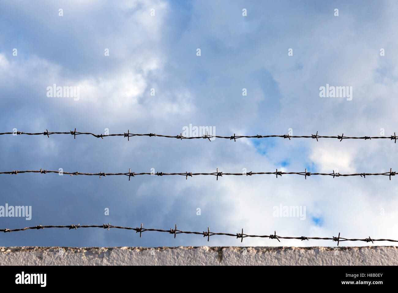 old barbed wire Stock Photo - Alamy