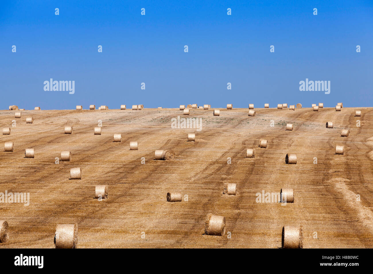 stack of straw in the field Stock Photo - Alamy