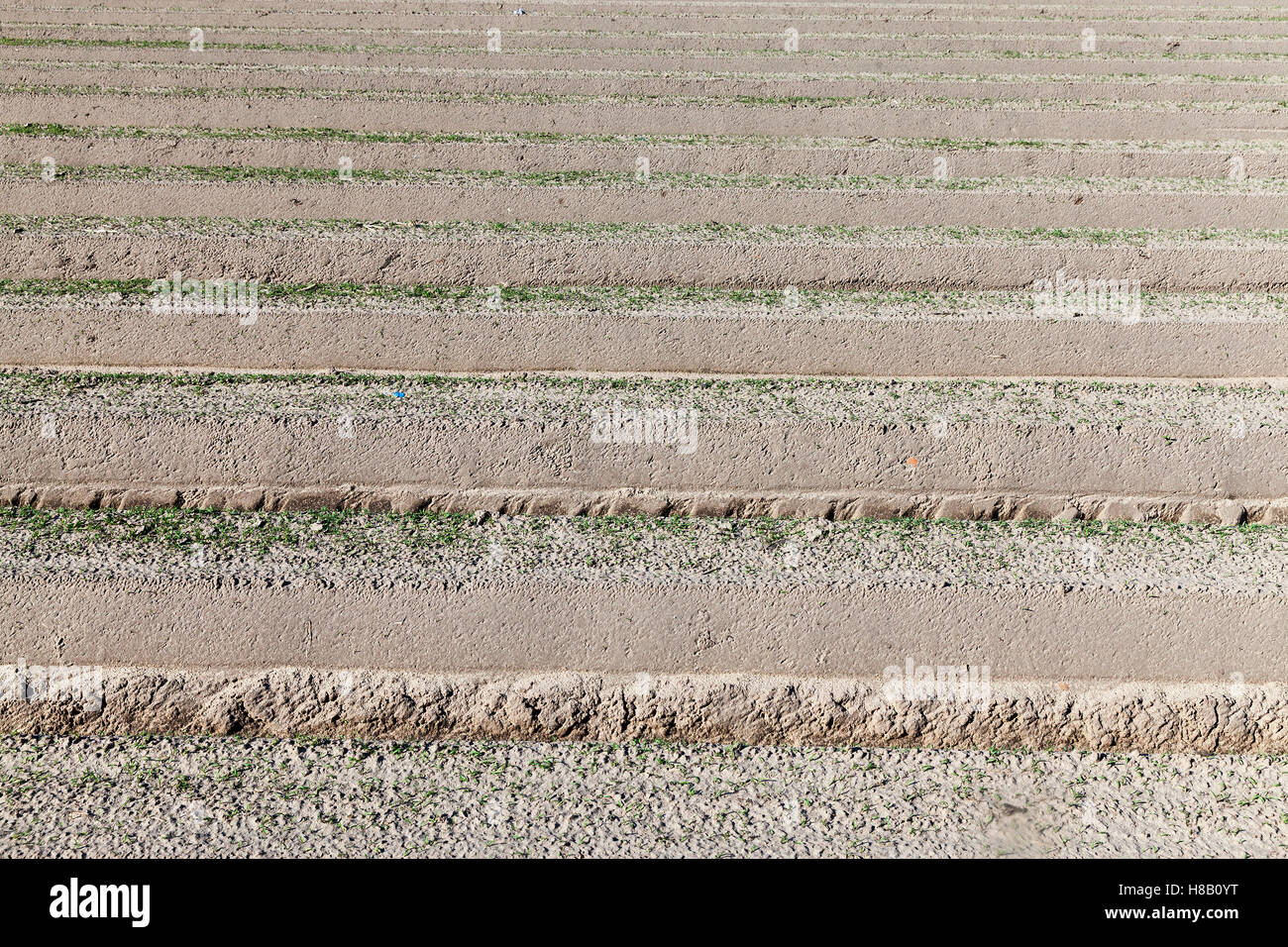 furrows in the field Stock Photo - Alamy