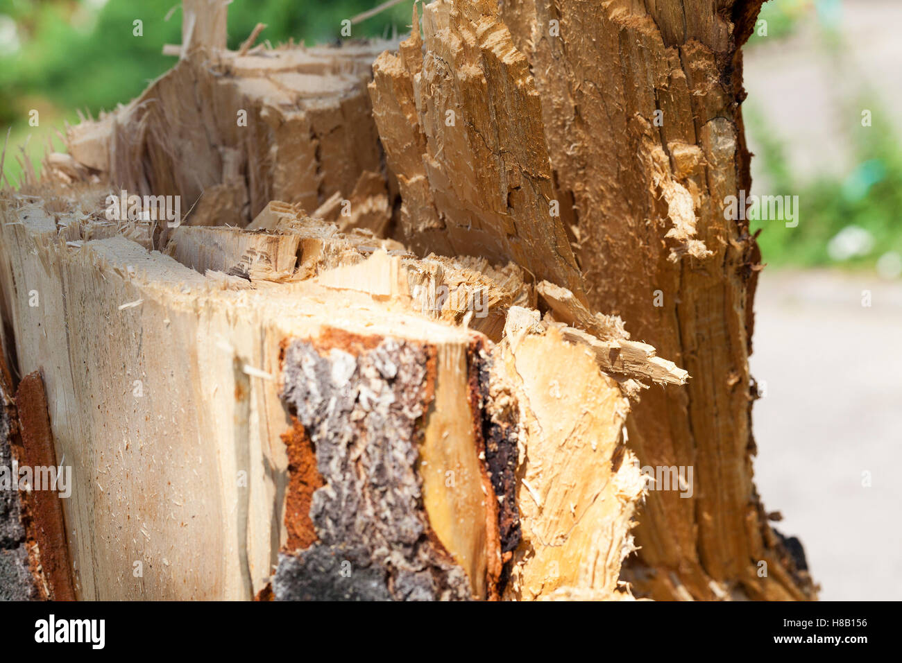 weathered wood broken Stock Photo - Alamy
