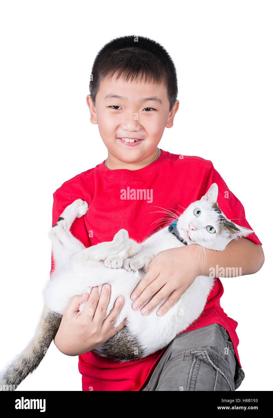 boy hugging with his cute cat isolated on white background Stock Photo ...