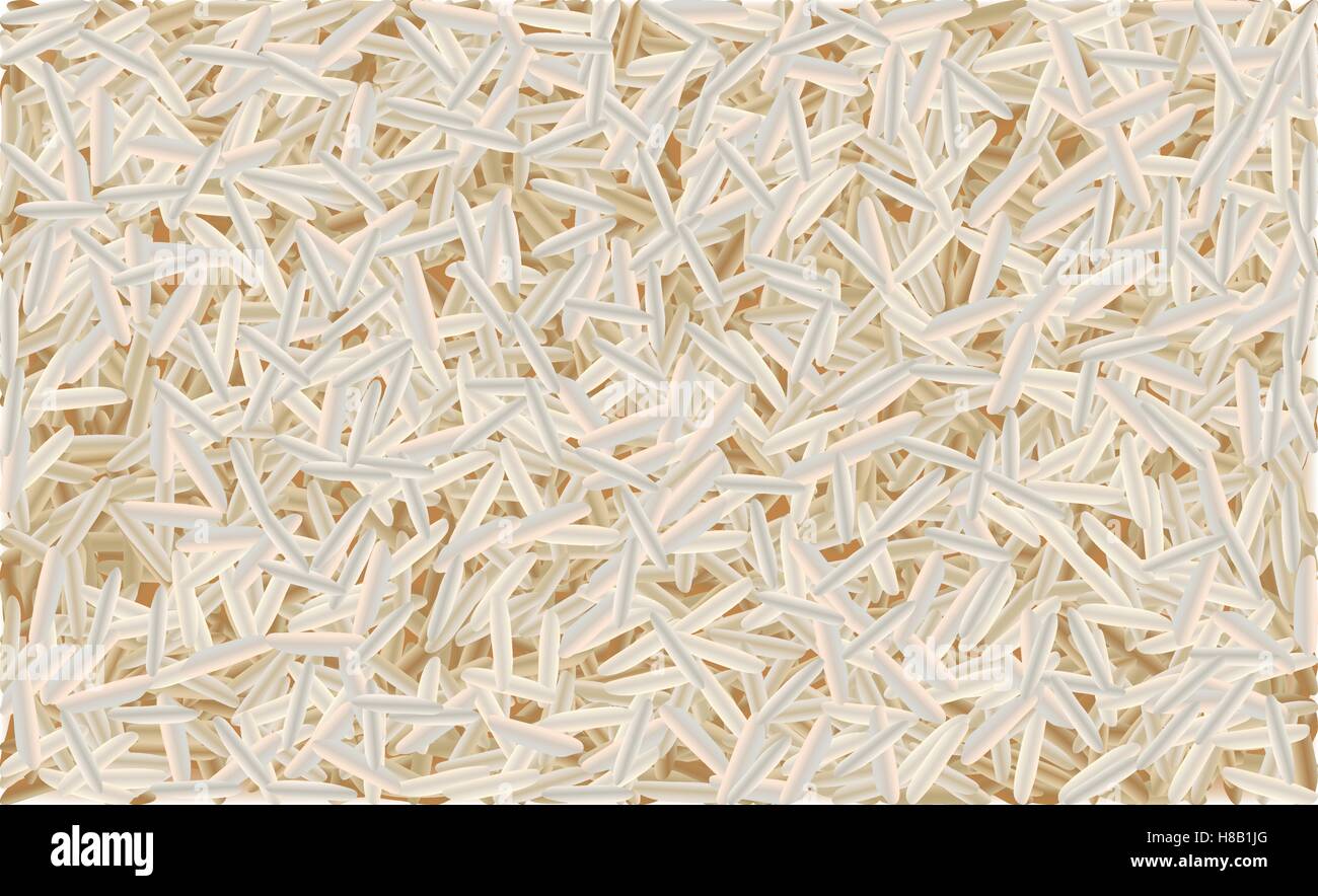 Basmati rice realistic pattern vector illustration background Stock ...