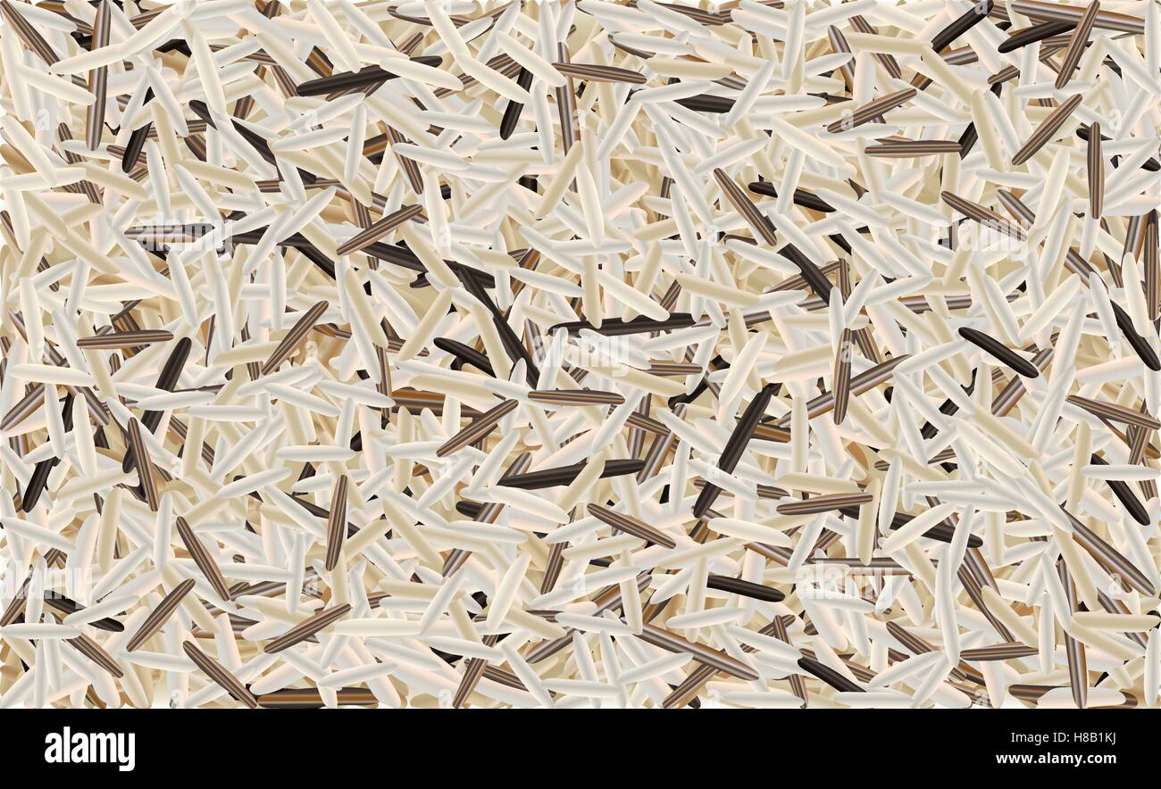 Mixed wild brown and basmati rice realistic pattern vector illustration ...
