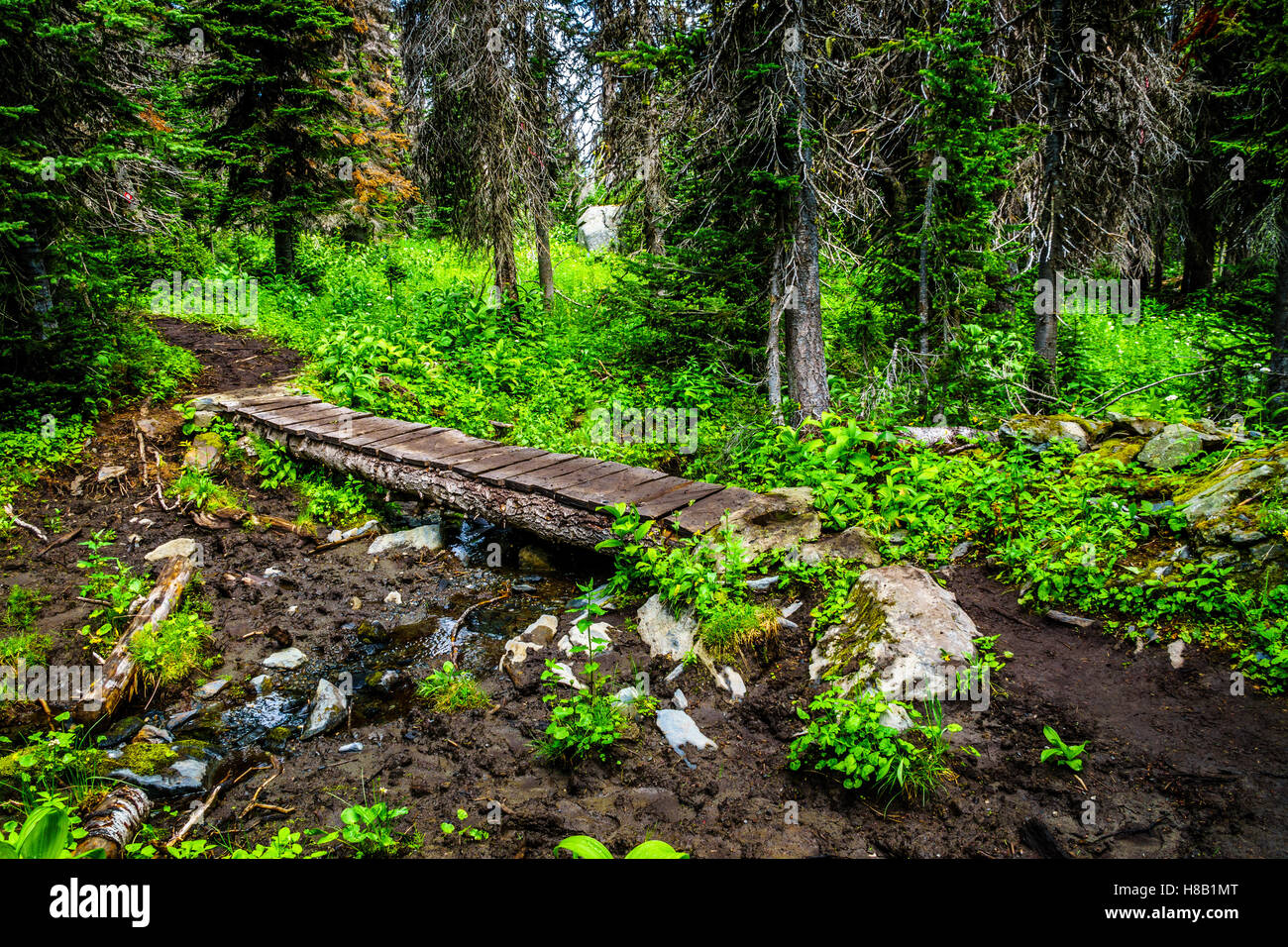 Muddy bridge hi-res stock photography and images - Alamy