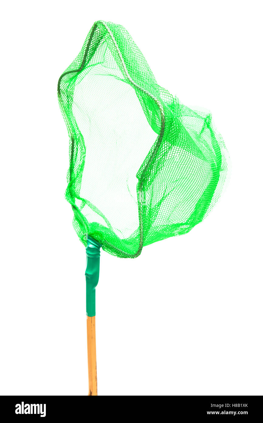 beautiful green butterfly net on a white background Stock Photo - Alamy