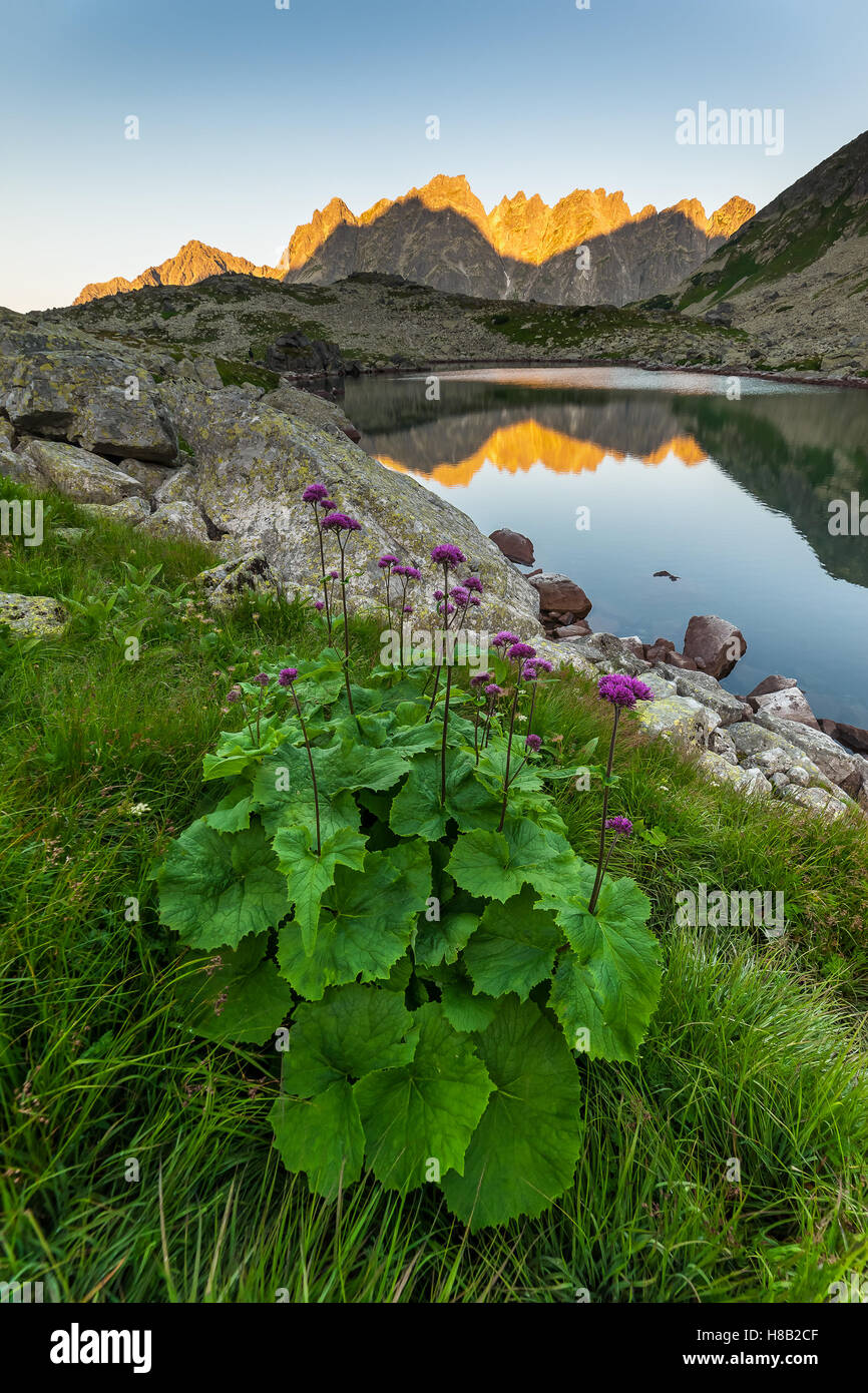 Beautiful mountain lake reflection hi-res stock photography and images ...
