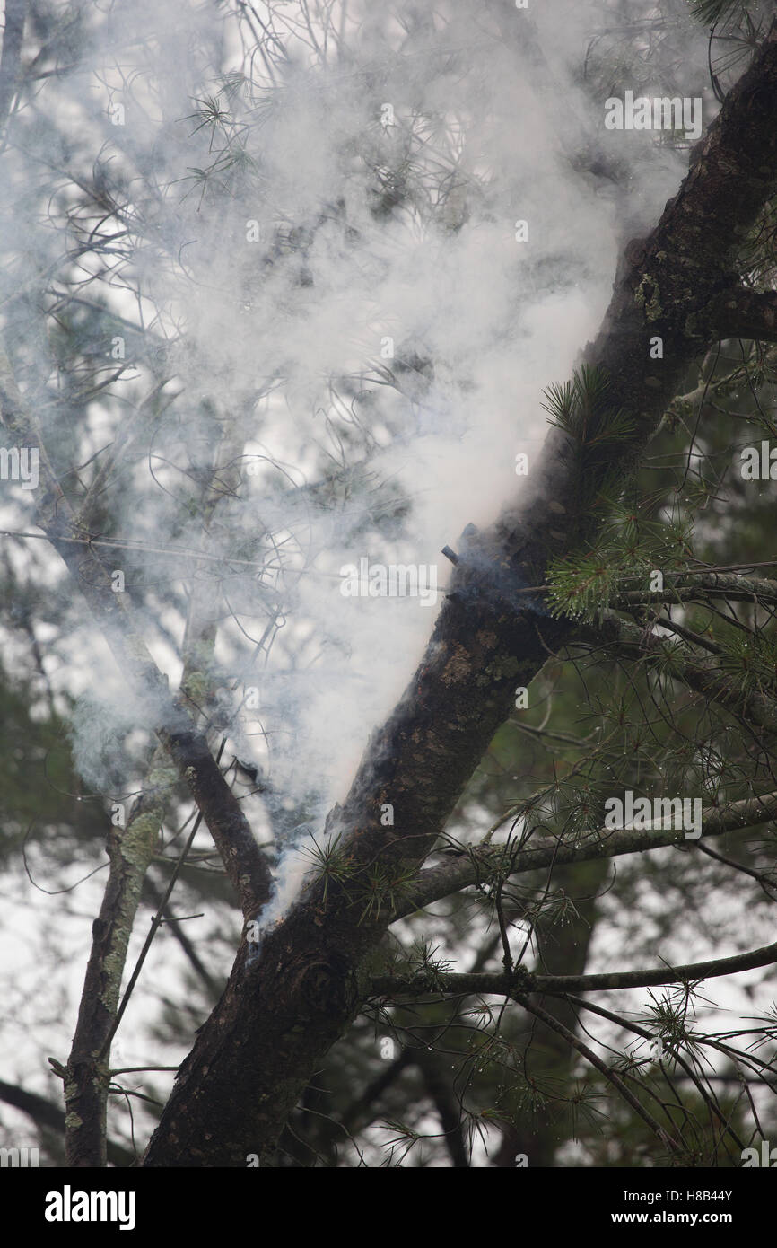 Fallen power lines fire hi-res stock photography and images - Alamy