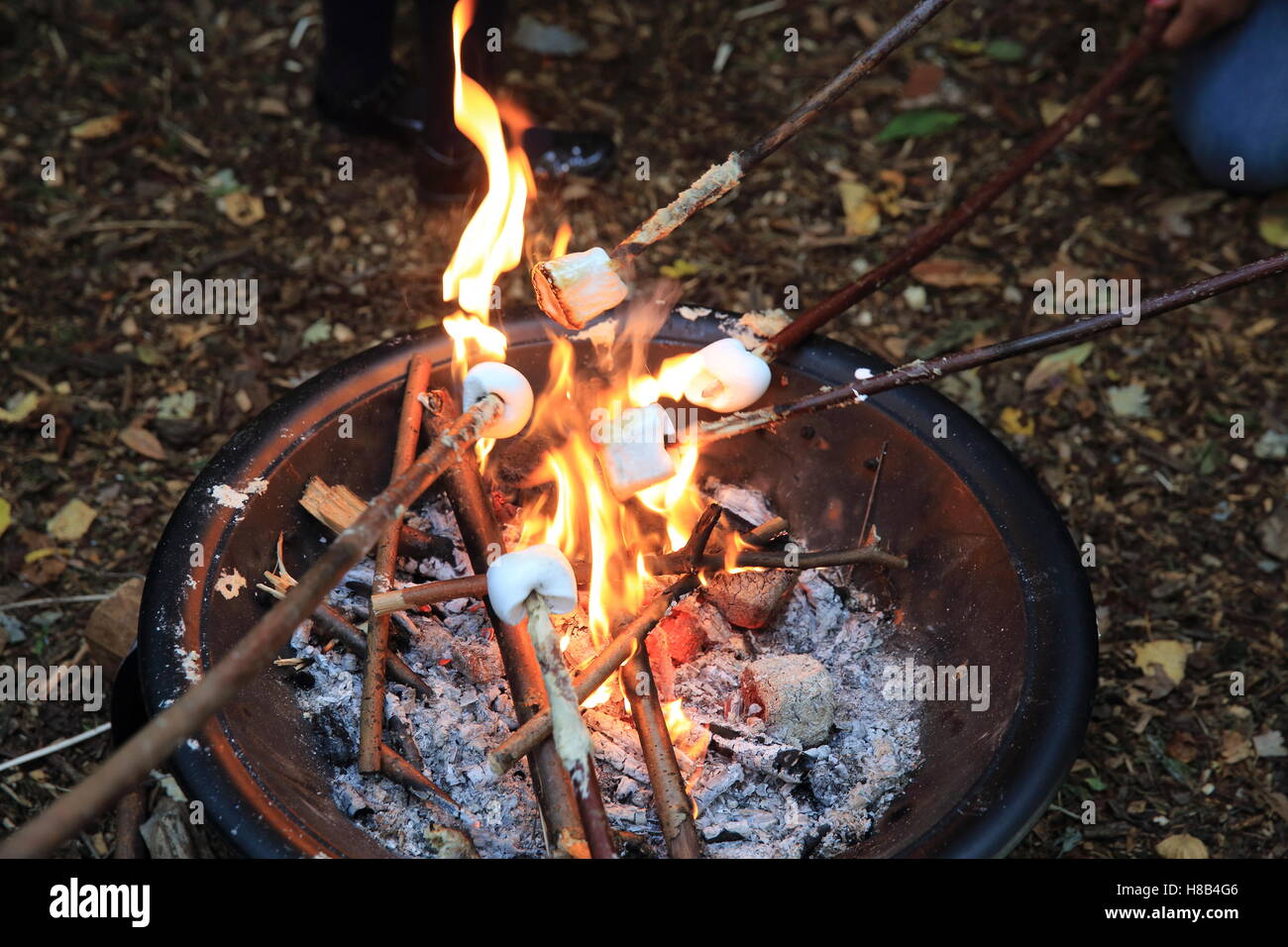 Toasting marshmallows fire hi-res stock photography and images - Alamy
