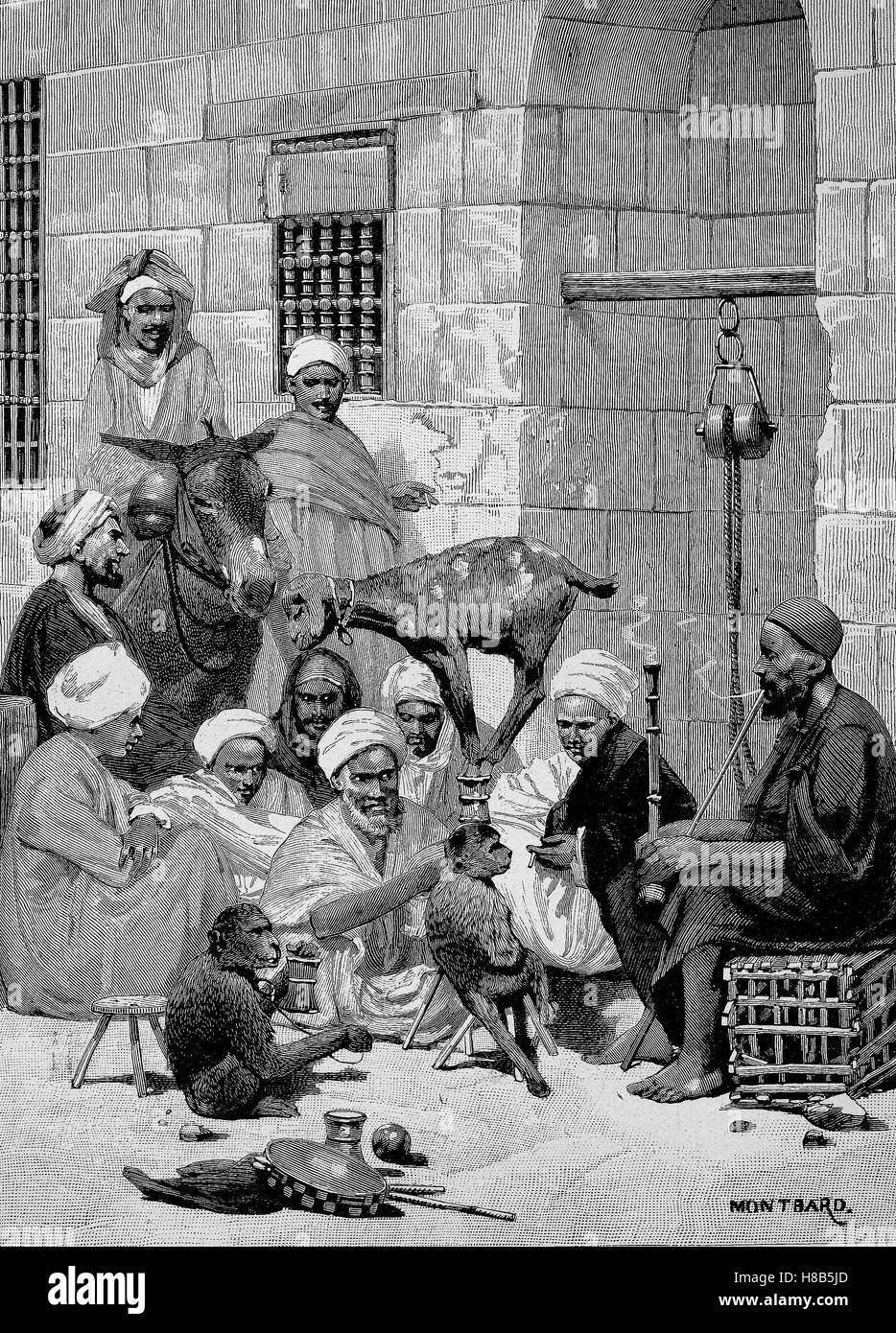 Demonstration of trained animals in the streets of Cairo, Egypt ...