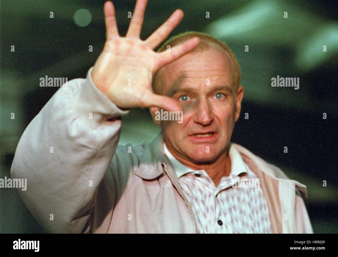 One Hour Photo 2002