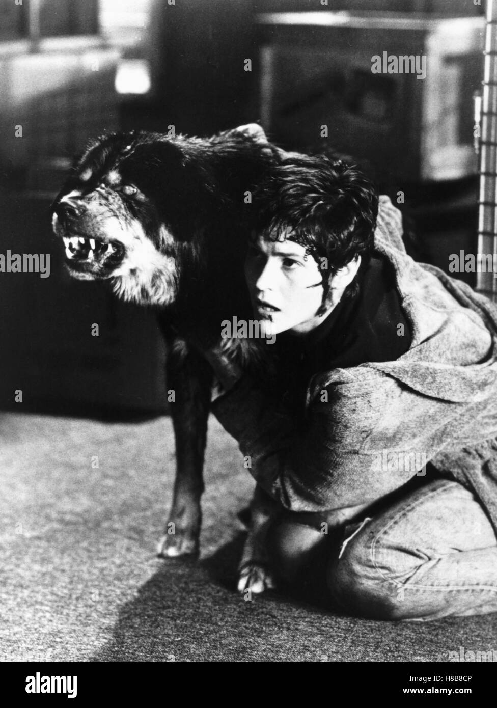 Killing Dog / Der Tod kommt auf vier Pfoten, (MAN'S BEST FRIEND) USA ...