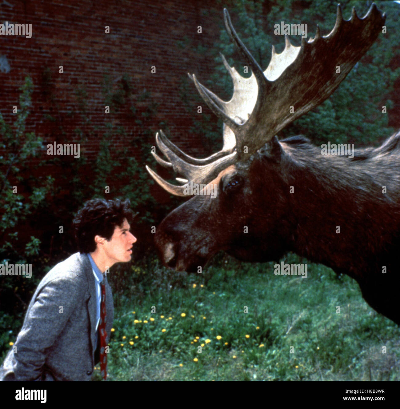 Northern exposure hi-res stock photography and images - Alamy