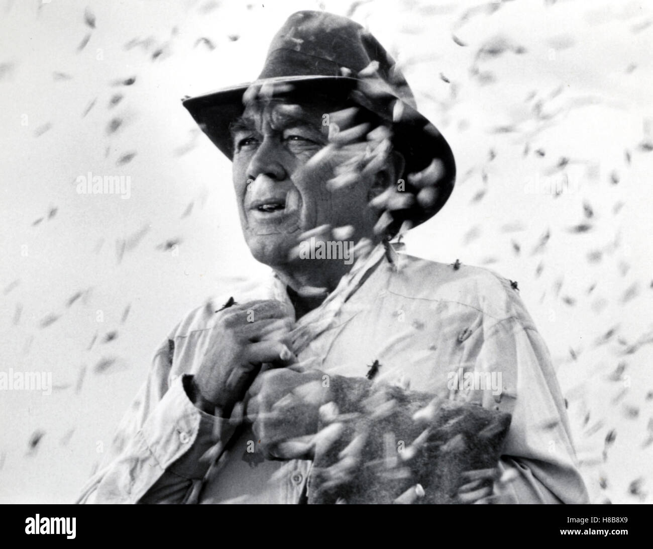 The savage bees hi-res stock photography and images - Alamy