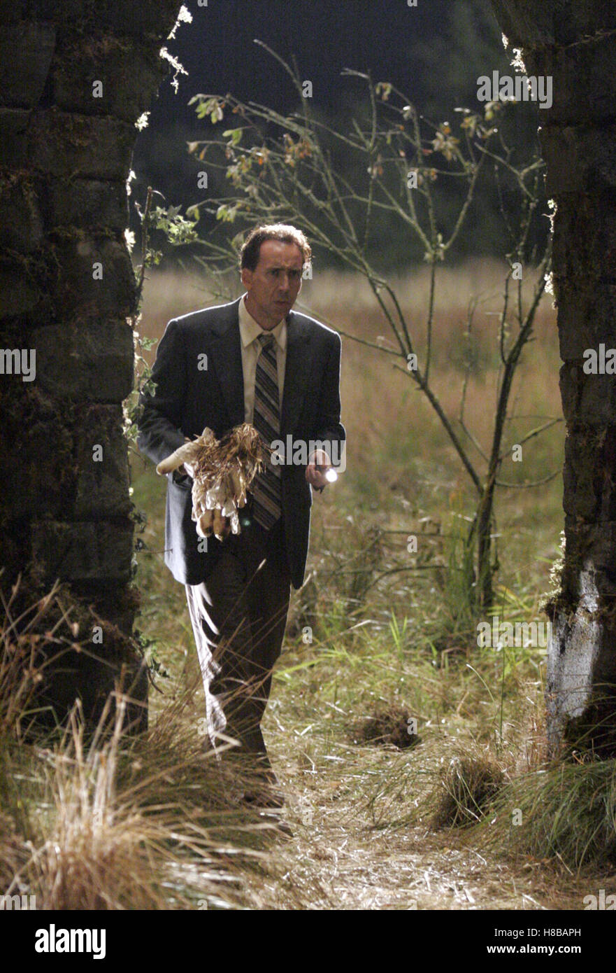 Wicker cage hi-res stock photography and images - Alamy