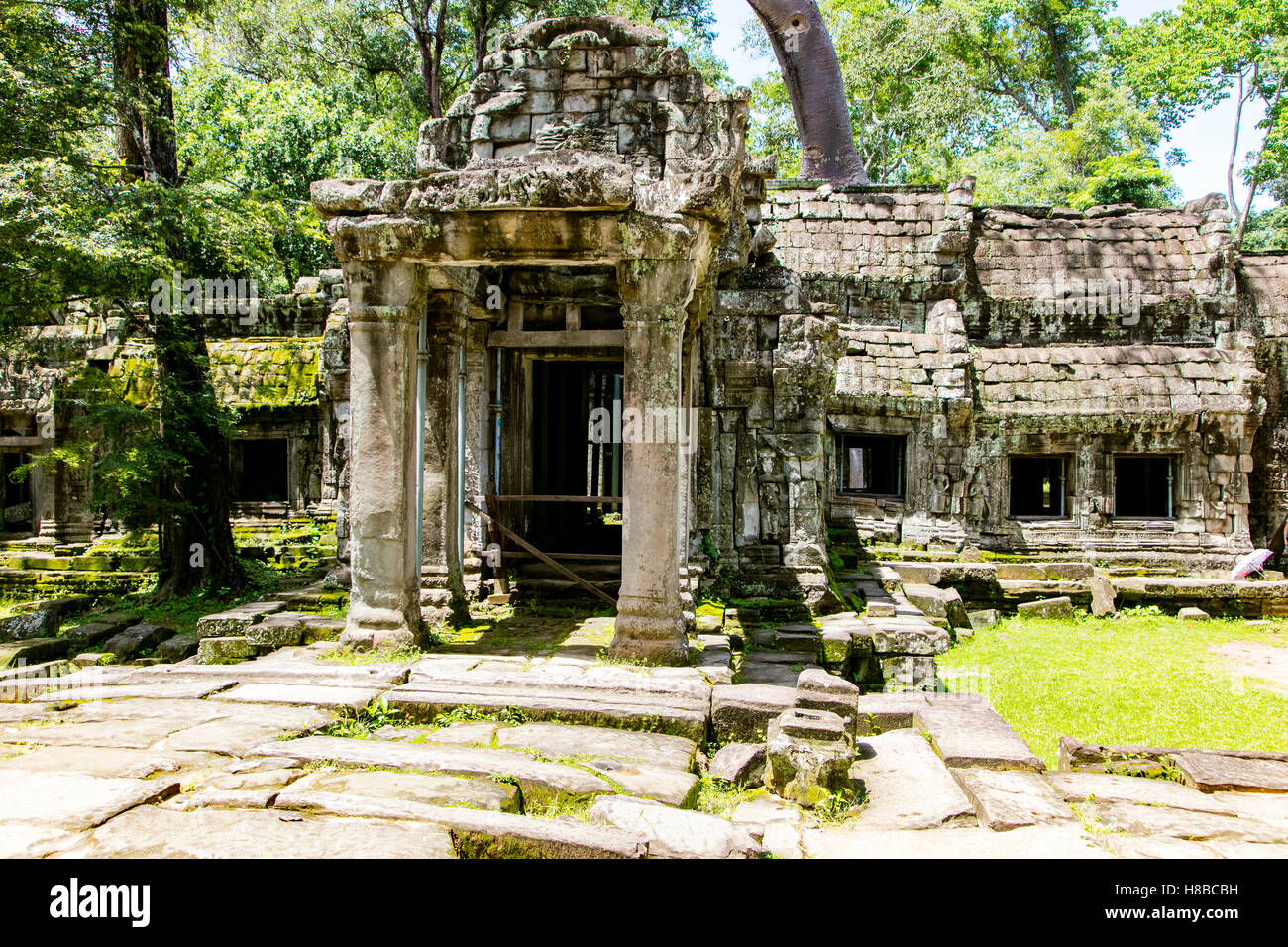 Ta Prohm, Angkor, Cambodia Stock Photo - Alamy