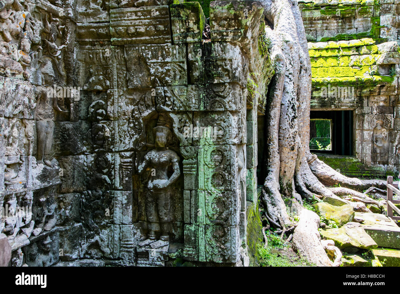 Ta Prohm, Angkor, Cambodia Stock Photo - Alamy