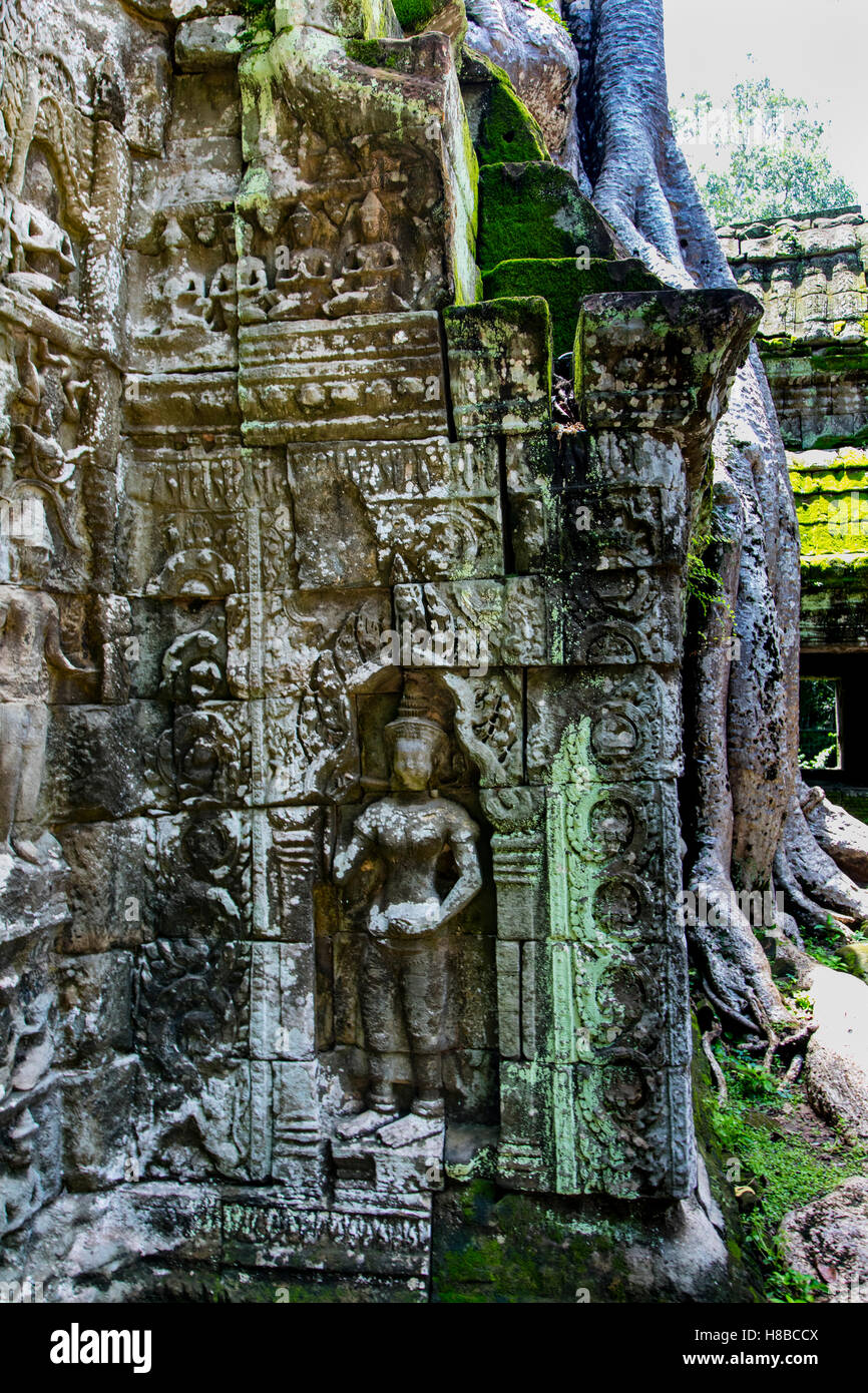 Ta Prohm, Angkor, Cambodia Stock Photo - Alamy