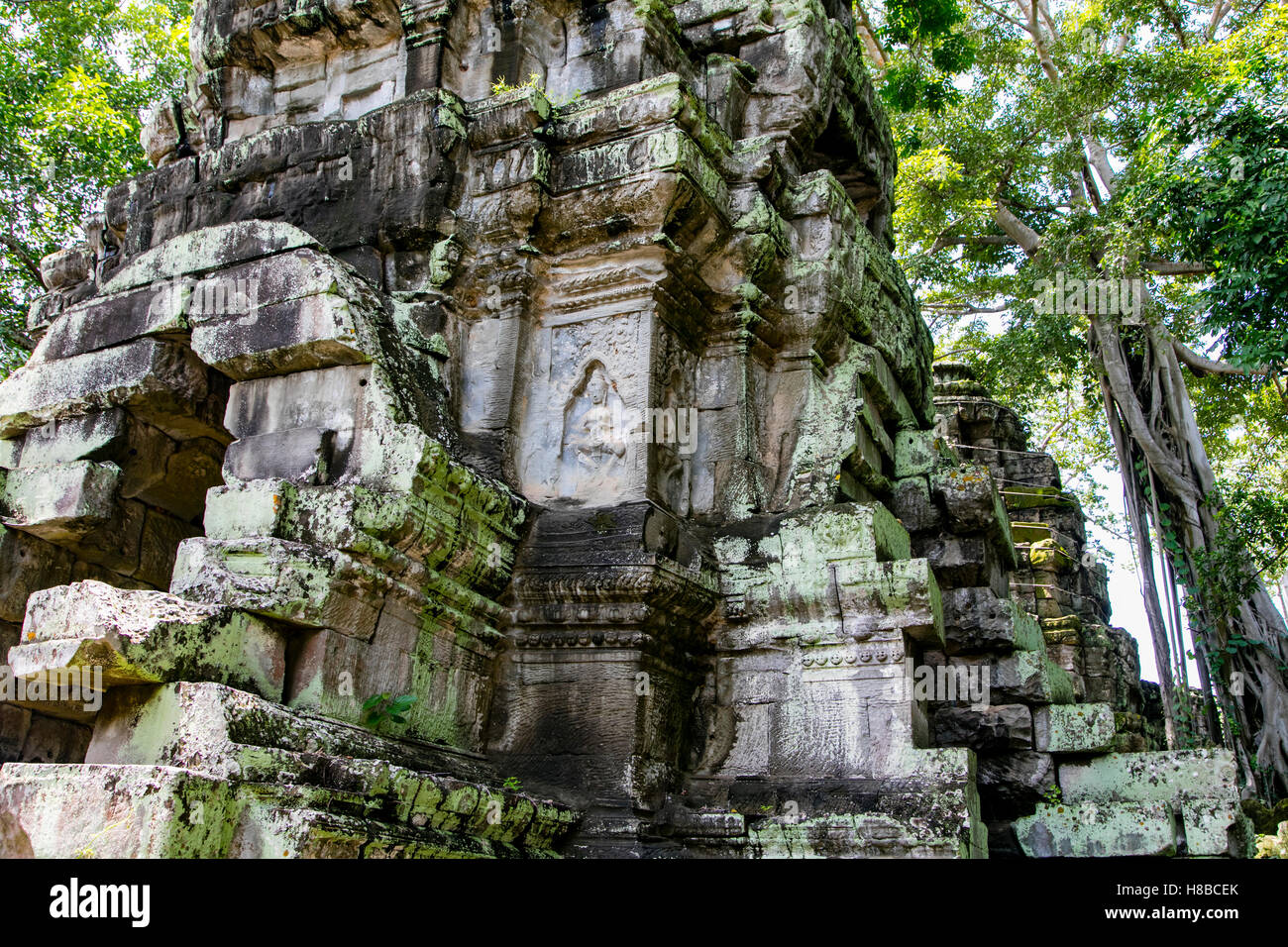 Ta Prohm, Angkor, Cambodia Stock Photo - Alamy