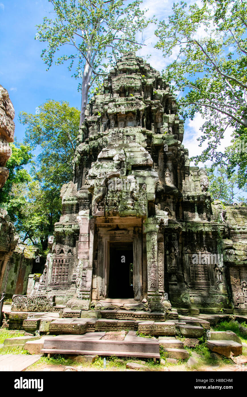 Ta Prohm, Angkor, Cambodia Stock Photo - Alamy