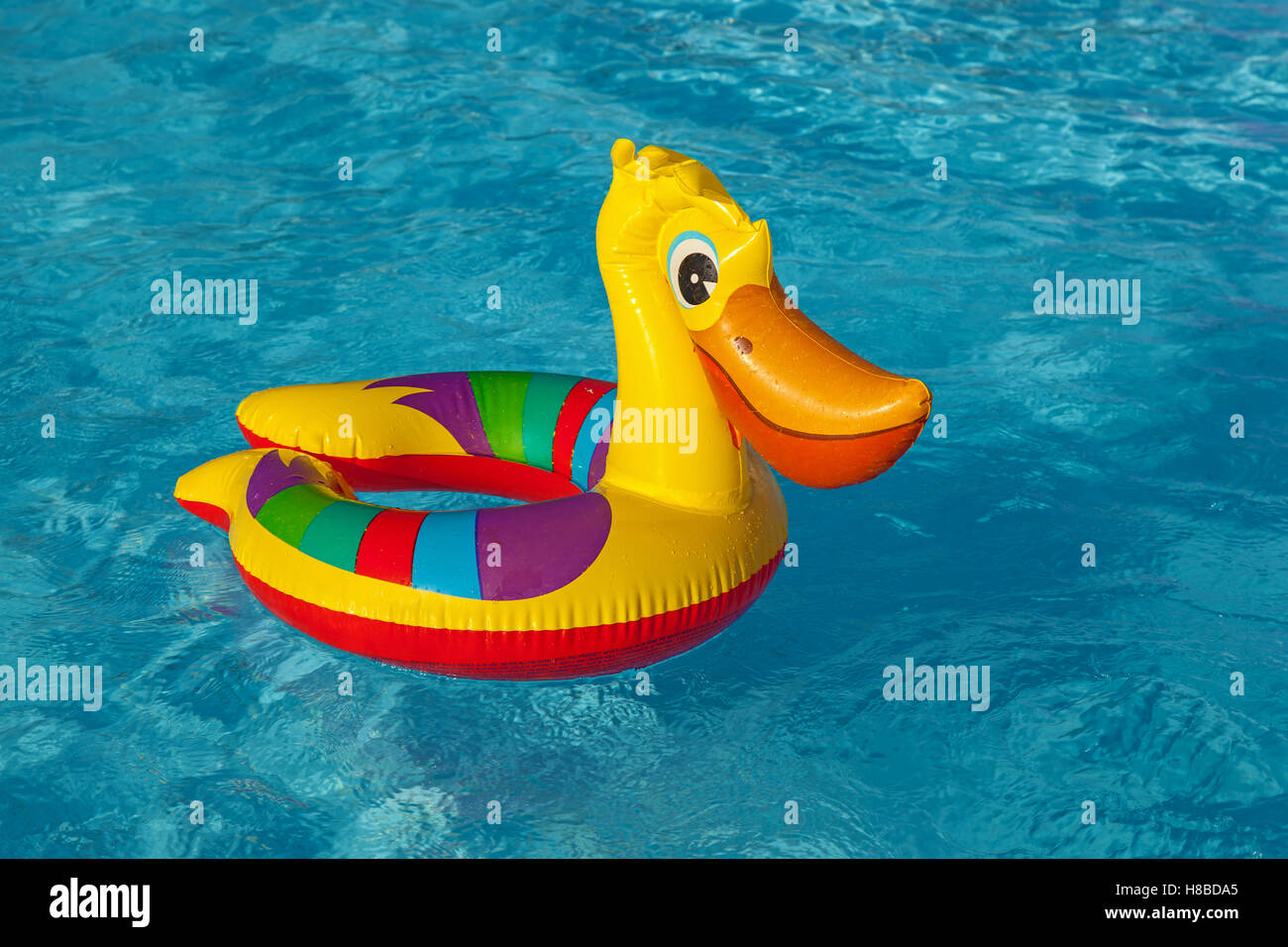 Inflatable pelican swims in the pool,Inflatable toy Stock Photo - Alamy