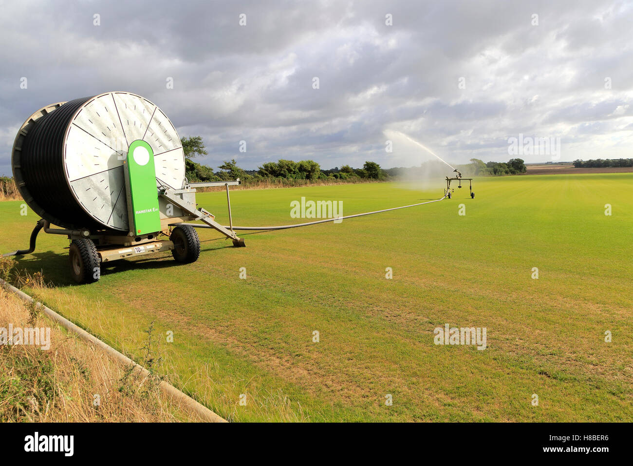 Rainstar irrigator crop sprayer field of grass turf, Alderton, Suffolk ...