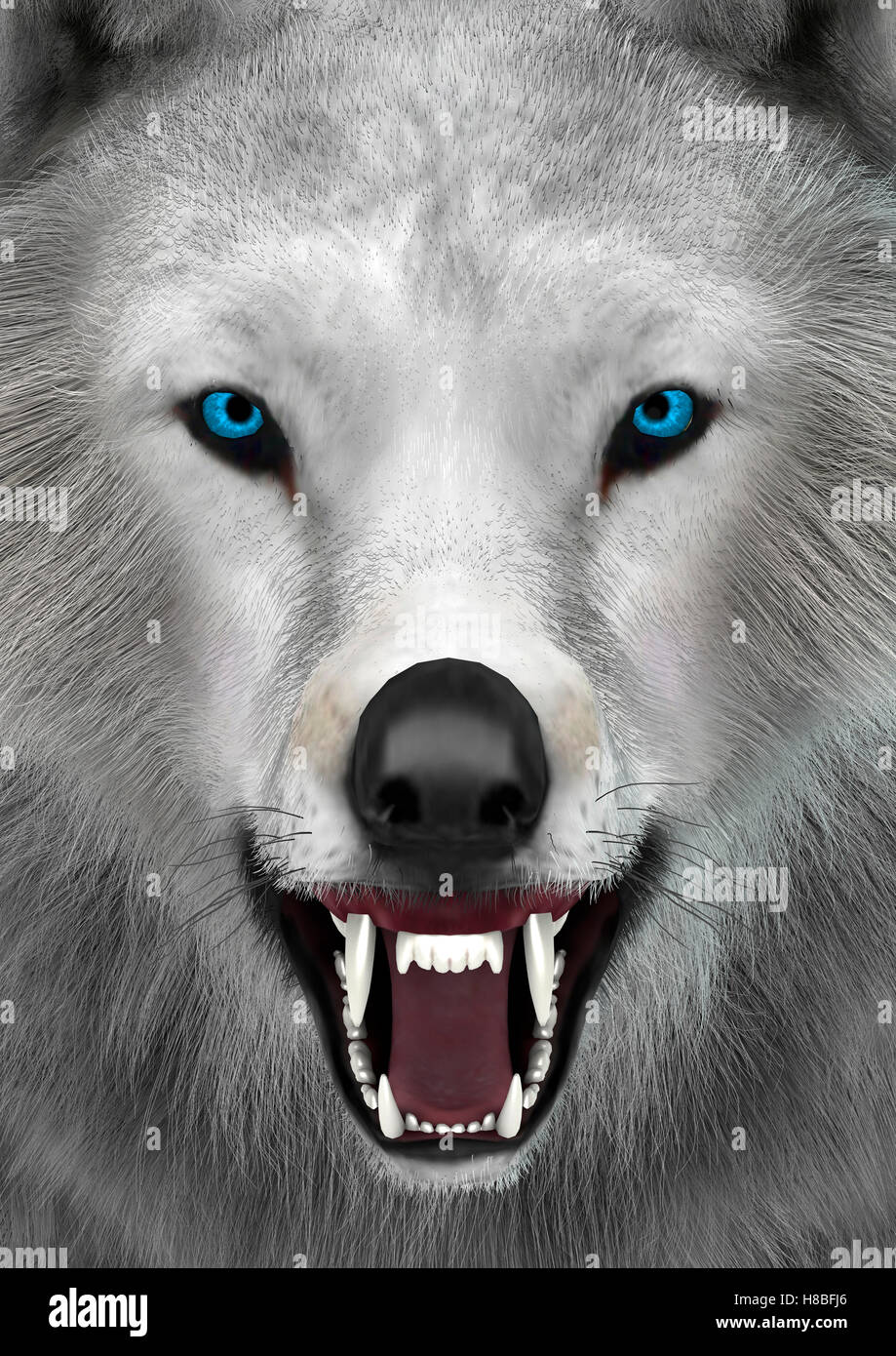 3D rendering of a head of an arctic wolf, closeup Stock Photo - Alamy