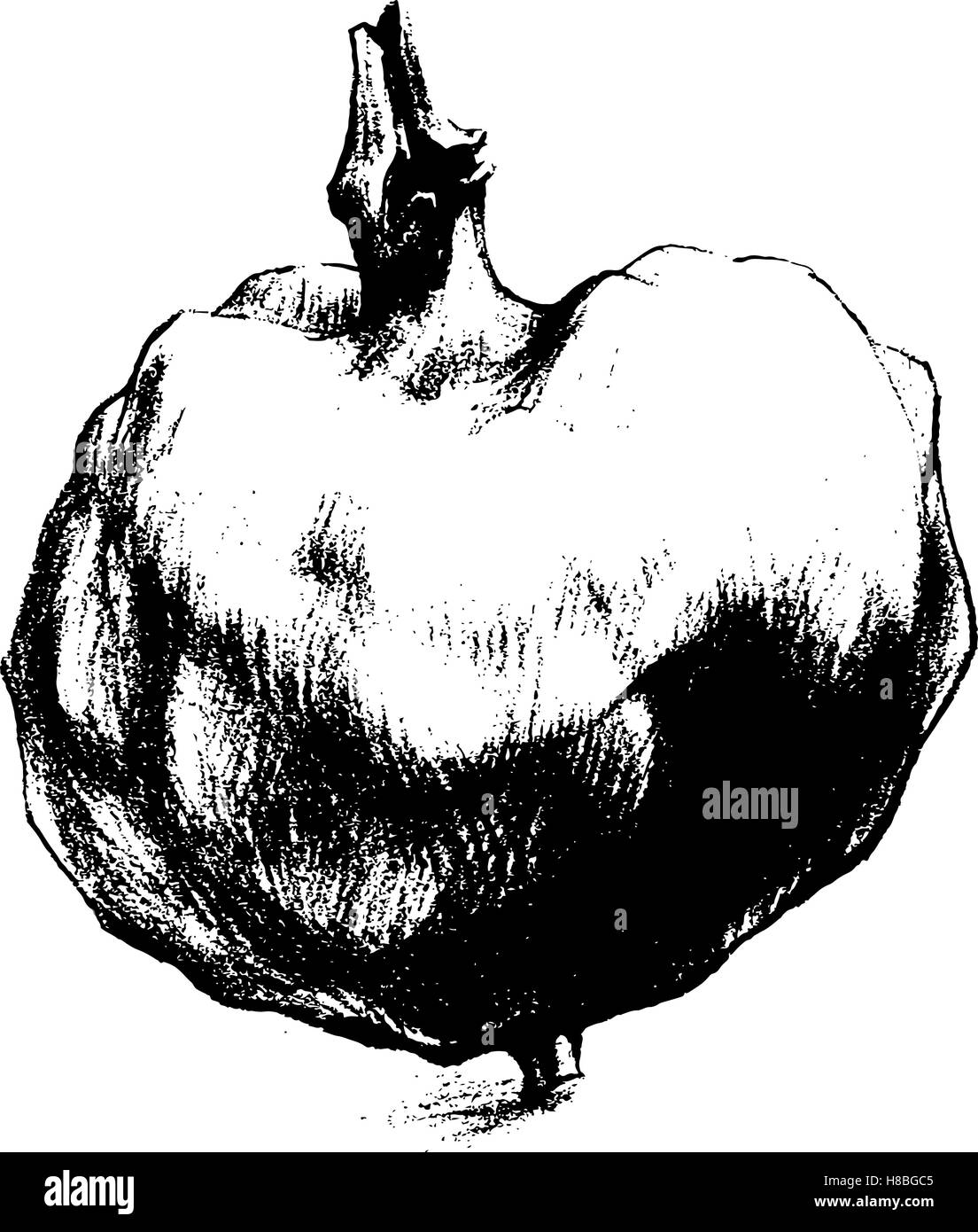 Hand drawing vector sketch Black and White Stock Photos & Images - Alamy