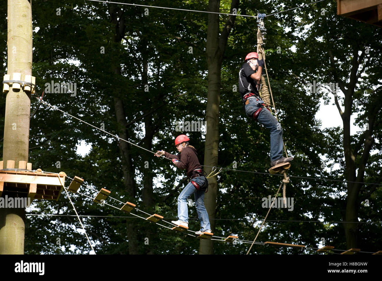 High ropes hi-res stock photography and images - Alamy